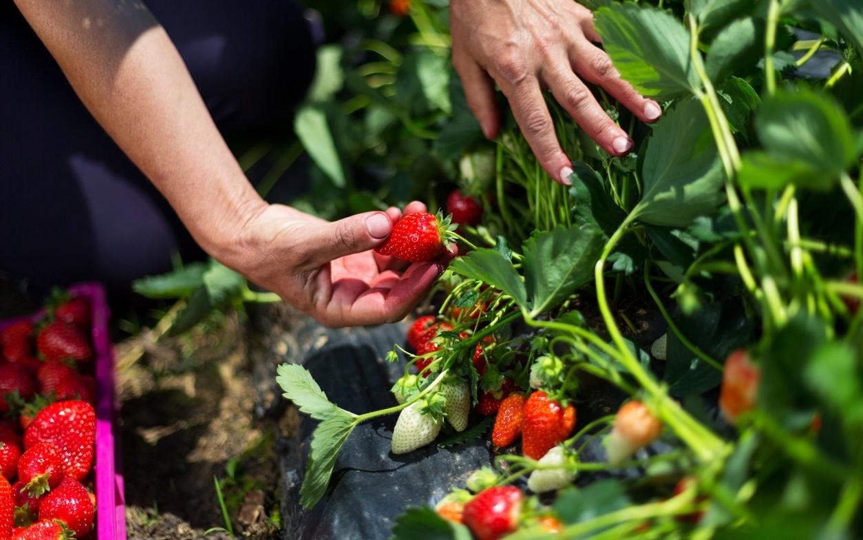 Earthside Retreats Mahabaleshwar - Home